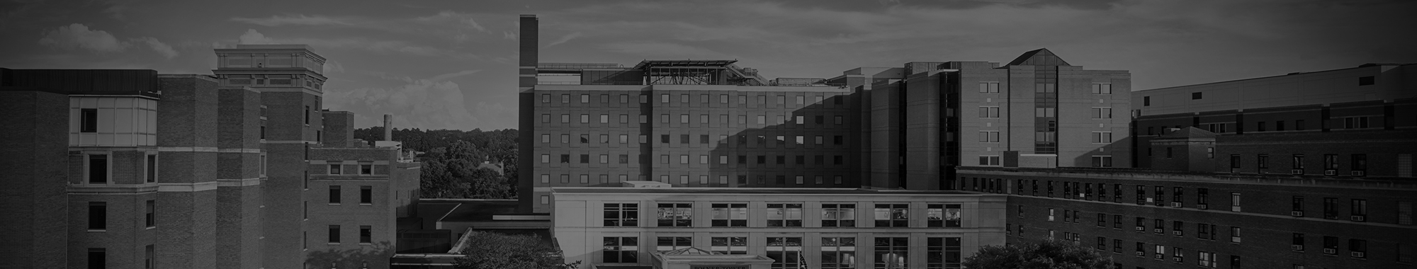Telecommunications - Wellington Power Corporation